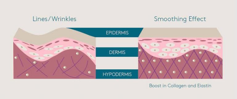 Peptides for Skin - Here's all That You Need to Know | Hale and Belle